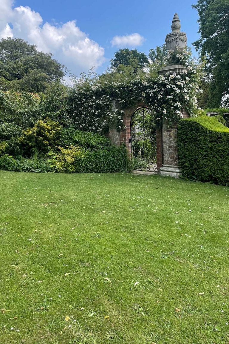 Lawn Food vs Lawn Fertilizer: what you need to know - Good Idea Gardening