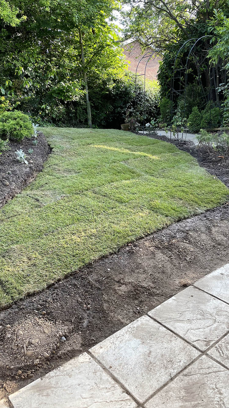 How Long Does It Take to Grow Sod? Everything you need to know in one ...